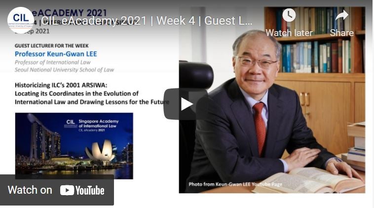Professor Keun-Gwan Lee on “Historicizing ILC's 2001 ARSIWA: Locating ...