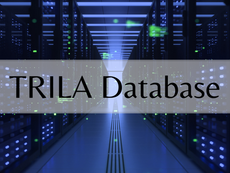 Database thumbnail - Centre for International Law