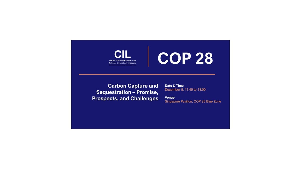 CIL @ COP 28 | Carbon Capture and Sequestration – Promise, Prospects ...