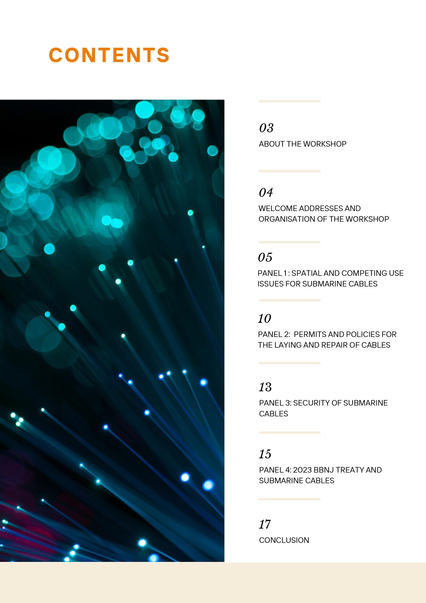 2024 ICPC-CIL Workshop Report on LOS and Submarine Cables - Centre for ...