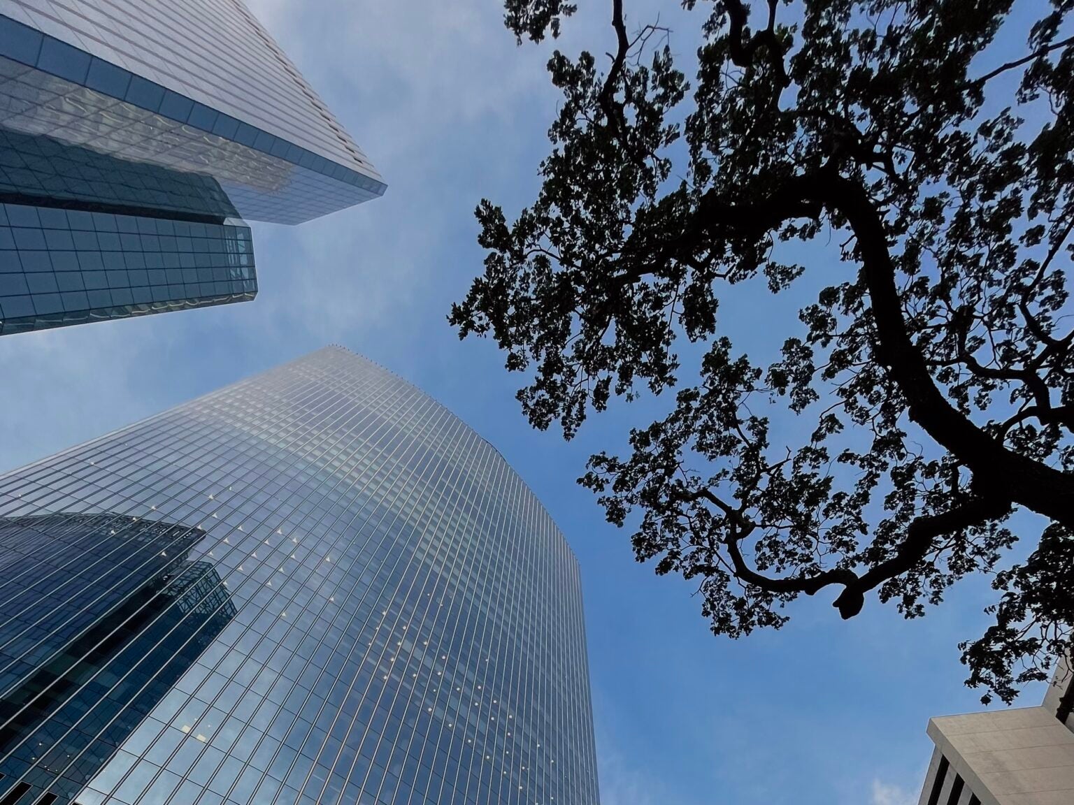 The AANZFTA Upgrade: The Three New Chapters (Part 1) - Centre for ...